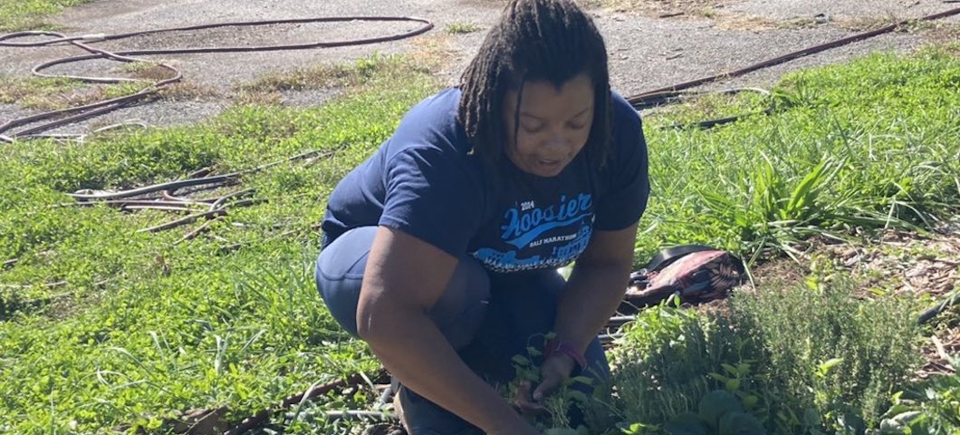 Soul Food Project brings healthy options to Indianapolis food deserts ...