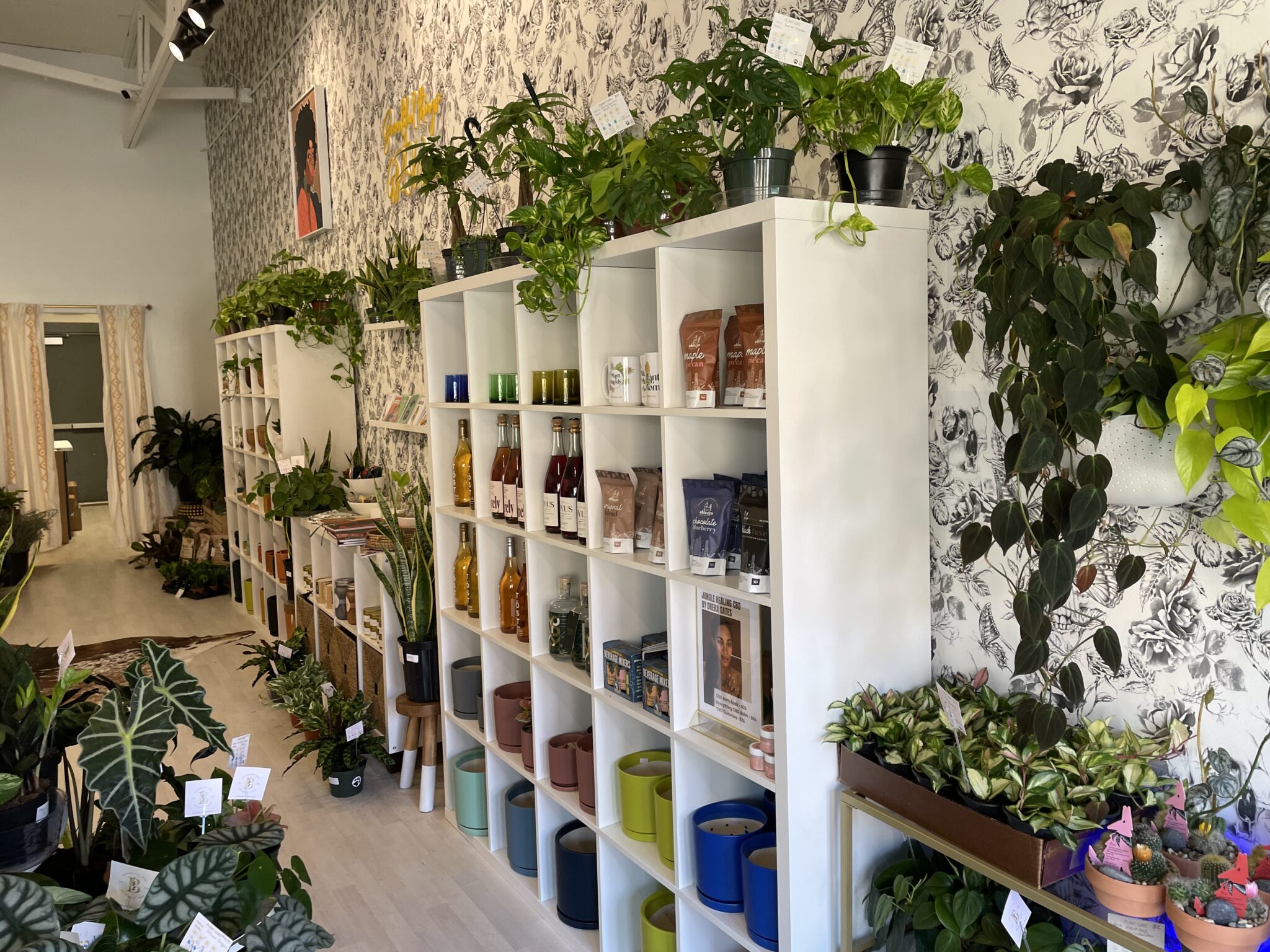 The Botanical Bar encouraging self-care through houseplants