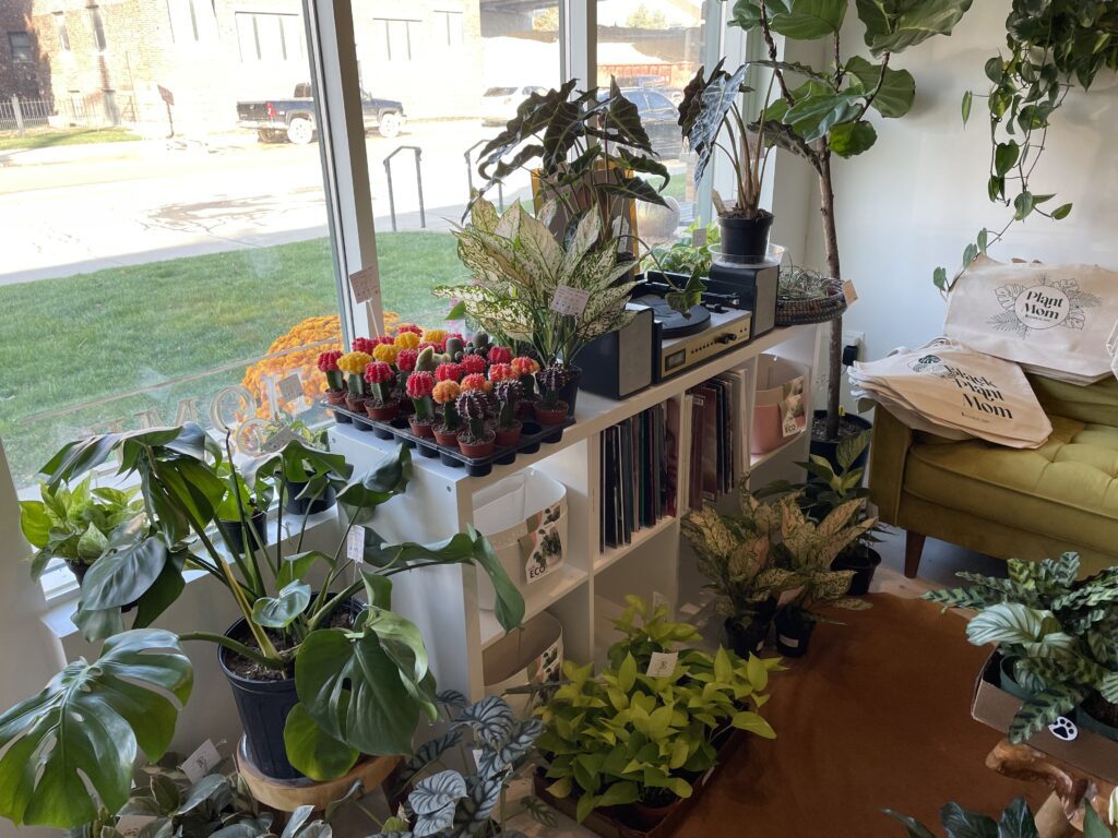 The Botanical Bar encouraging self-care through houseplants