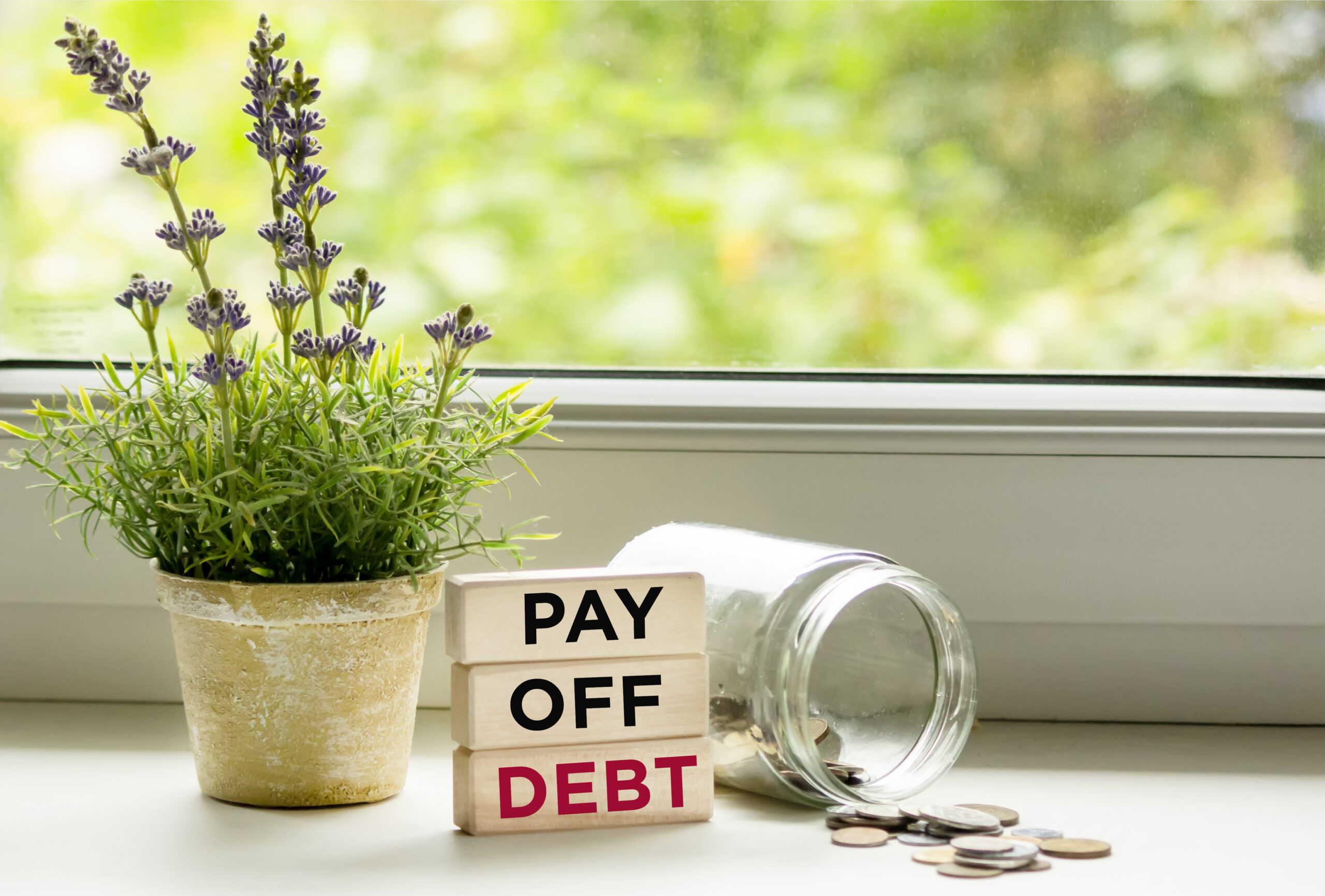 Create a plan for paying down existing debt and lowering monthly ...